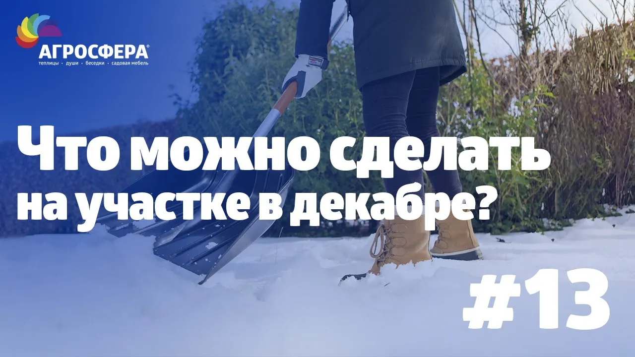 Советы для дачи и сада #13 - на что обратить внимание на участке в декабре / агросфера.рф