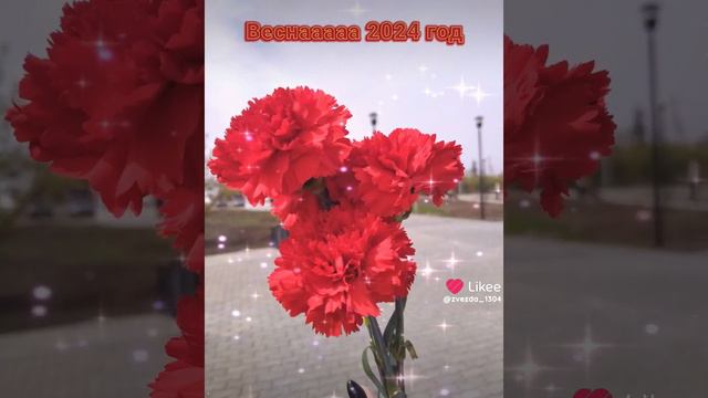 Весенняя безмятежность