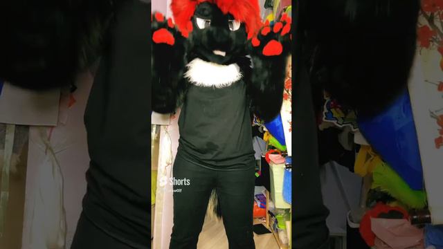 #сигма #funny #cute #фурри #furry #фурсьют #sigma #волчица  #fursuiters (1)