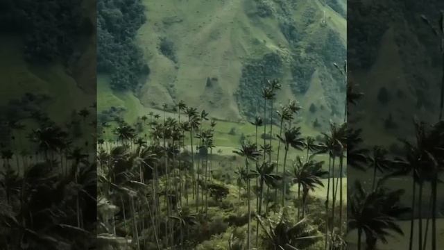 VID_20221228_150109_702.mp4