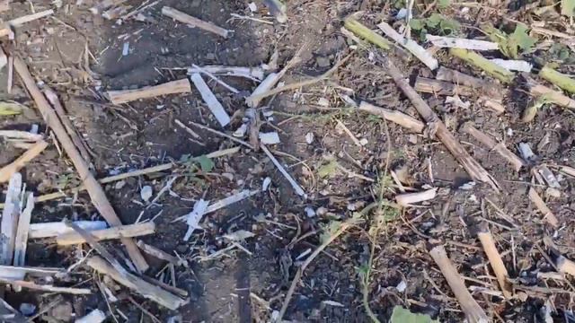 Каток КЗК-6С _КИПО_. Работа до_после.