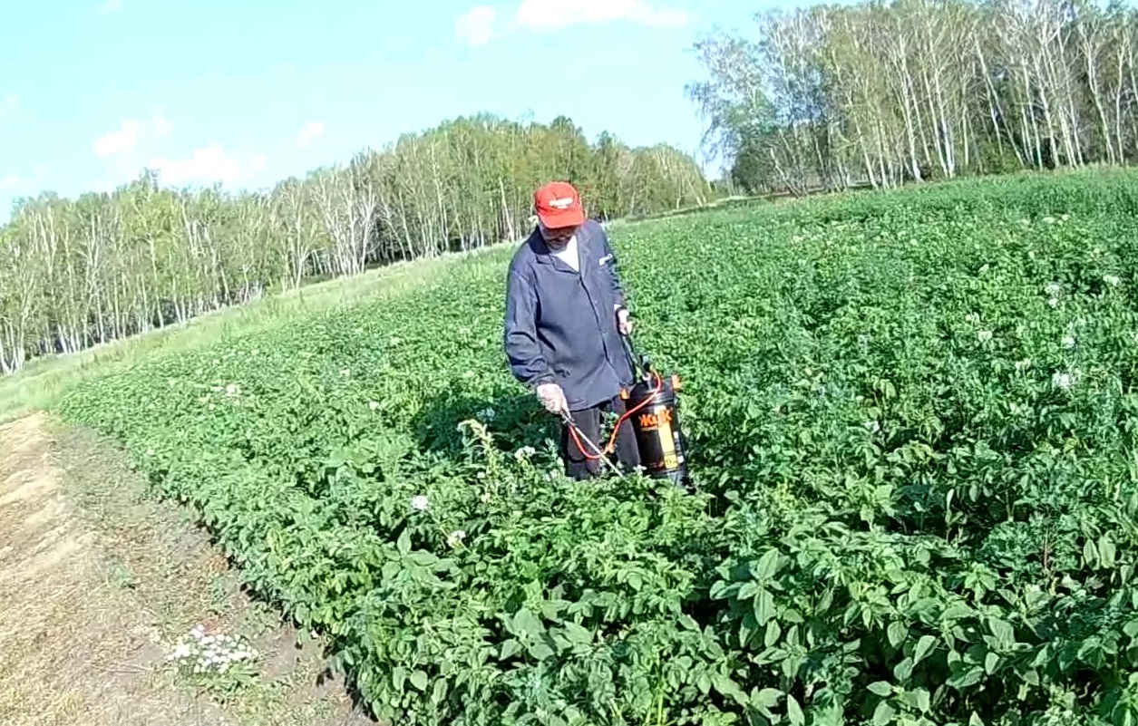 Опрыскиватель Жук