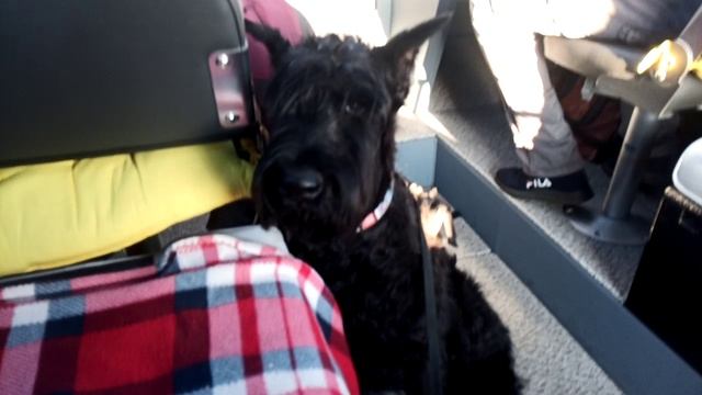 Соловки 2022 катер