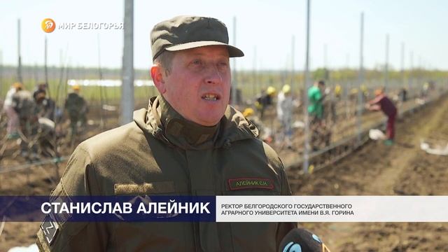 «Сад горинцев» появился в Ивнянском районе