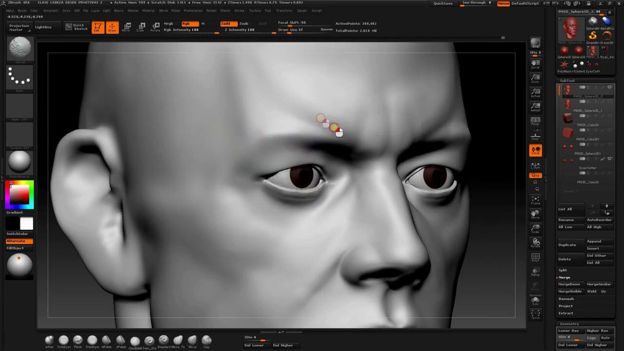 Anat Vol 02 16  General Features 5 5