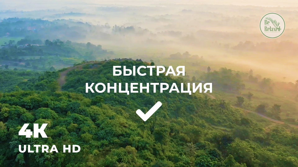 ЛУЧШАЯ МУЗЫКА ДЛЯ КОНЦЕНТРАЦИИ | Спокойная мелодия и щебет птиц | Красота природы