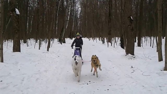 Вторая попытка покатушек...