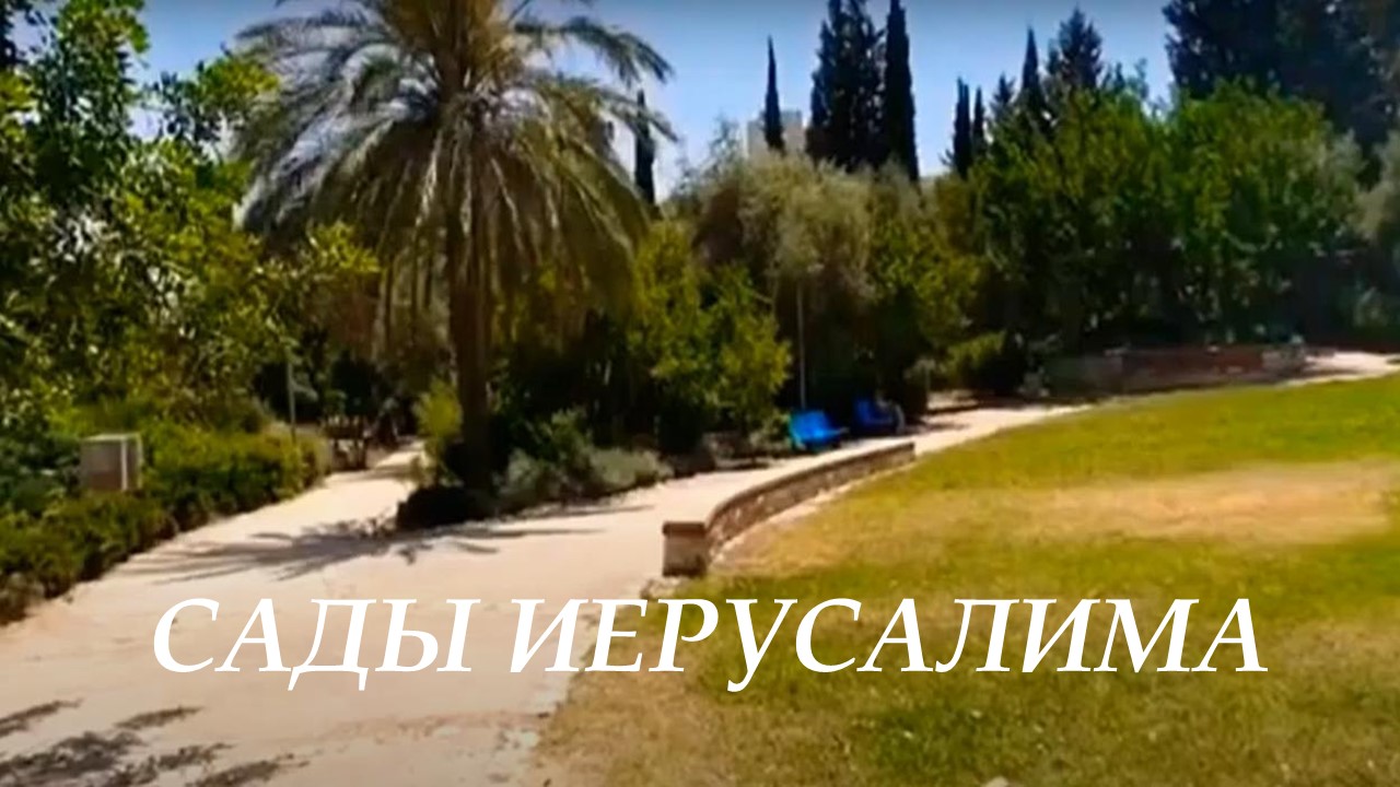 САДЫ ИЕРУСАЛИМА. Святой город.