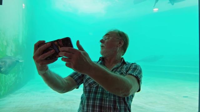 МОСКОВСКИЙ ЗООПАРК ПАВИЛЬОН «ЛАСТОНОГИЕ»