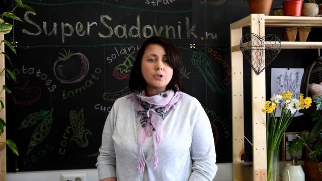 Колорадский жук на картофеле что делать