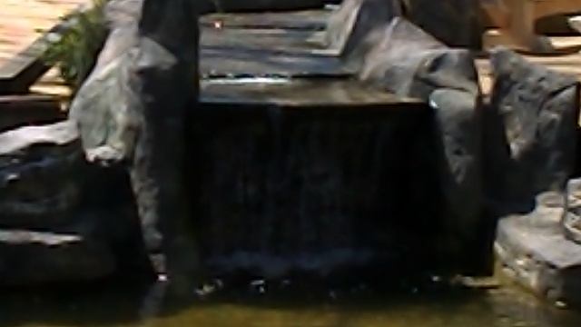 DSCN3895.AVI Краснодар паркСафари парк Галицкого 2021