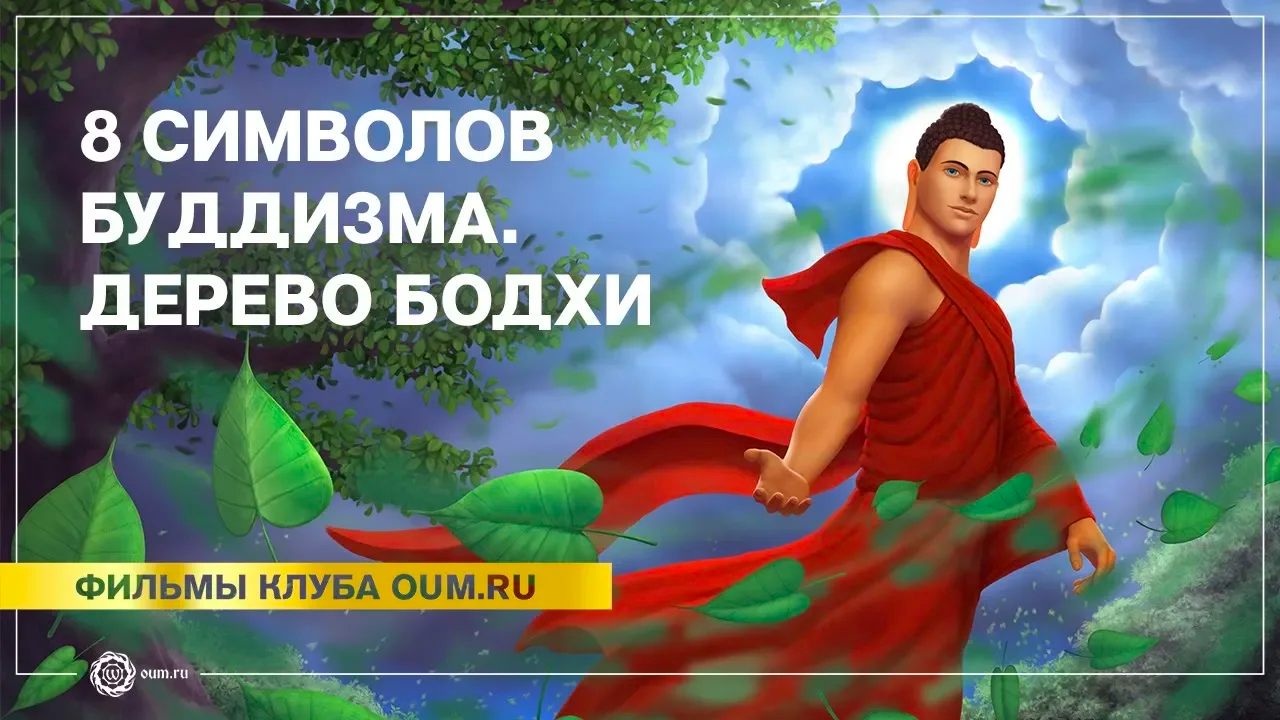 8 символов буддизма. Дерево Бодхи
