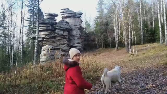 ПВД на "Блины"