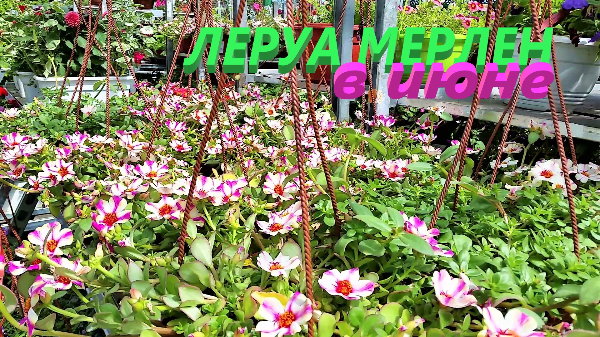 По магазинам. Леруа Мерлен. Товары для дома и сада.