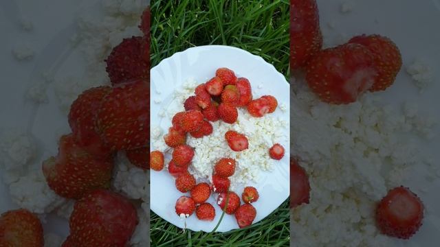 Легкий летний завтрак на 200 калорий