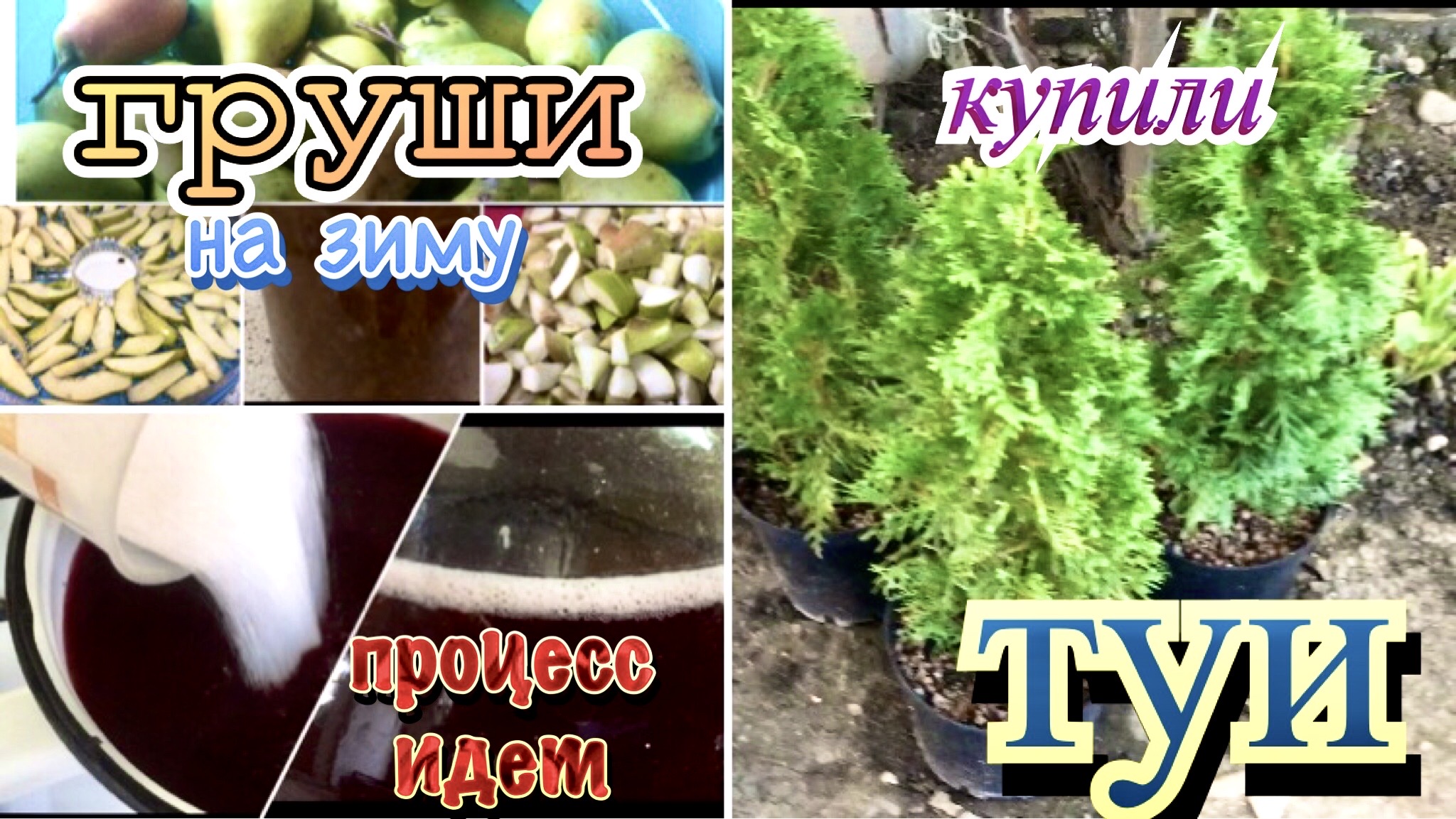 Заготовки продолжаются/Мечта сбылась/Обновляем клумбы/2021/