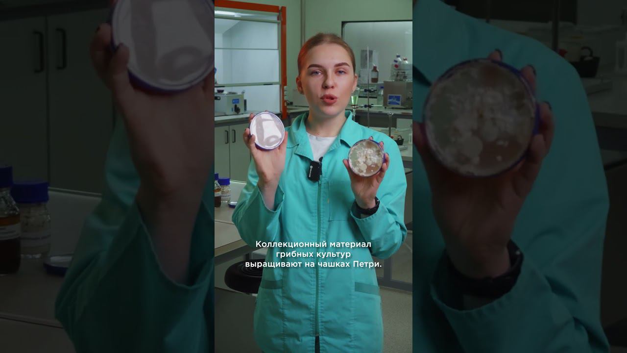 Медицинские грибы. Компания Артлайф, бренд ANAGRAN #shorts