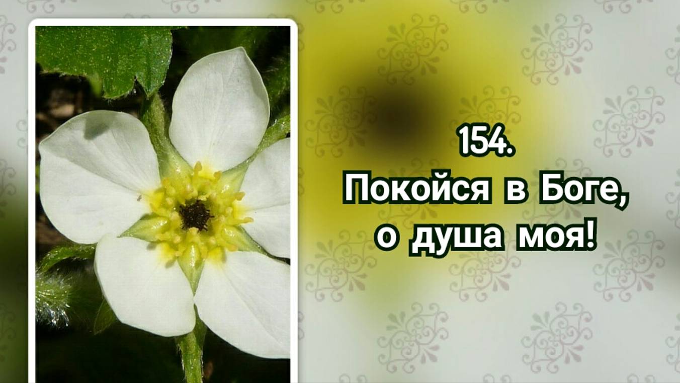 Гимны надежды 154 Покойся в Боге, о душа моя! (-)