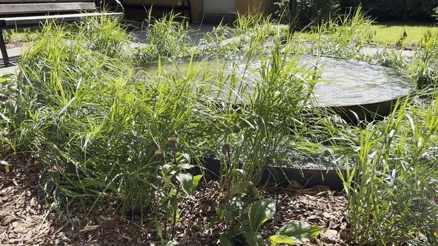 Фонтан "Круг" в Москве