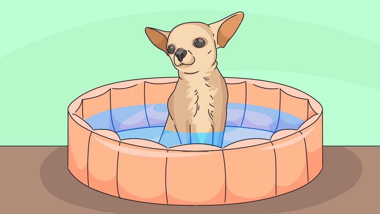 КАК ПЕРЕЖИТЬ ЖАРУ