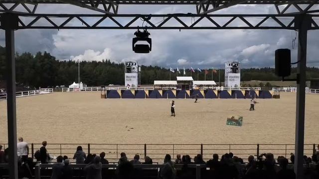 20190720 Иваново поле 2019. Соколиная охота