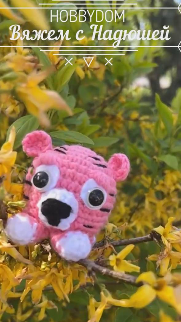 Ти на дерево забрался, он чего то испугался