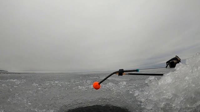 Отдых на финском заливе, корюшка. 15 марта