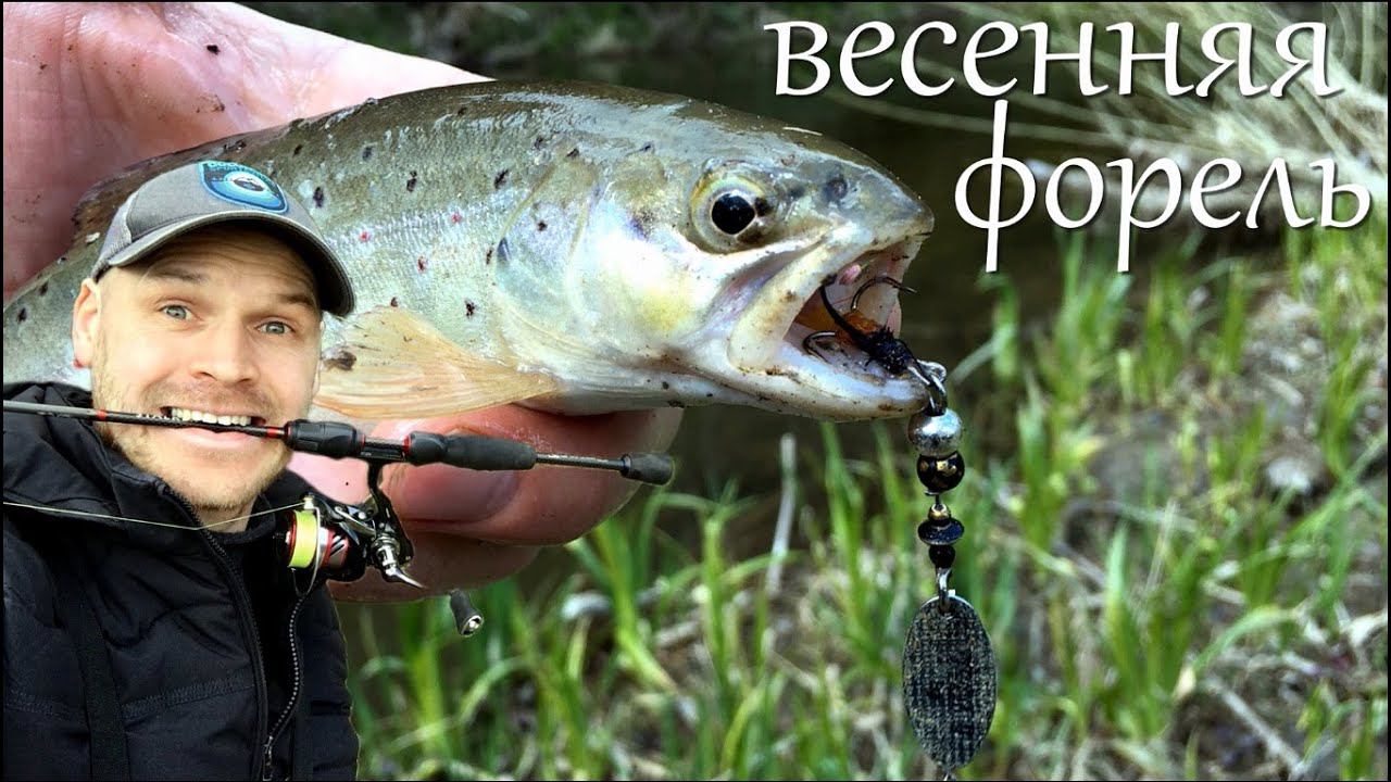 Весенняя ФОРЕЛЬ в Ленинградской области!