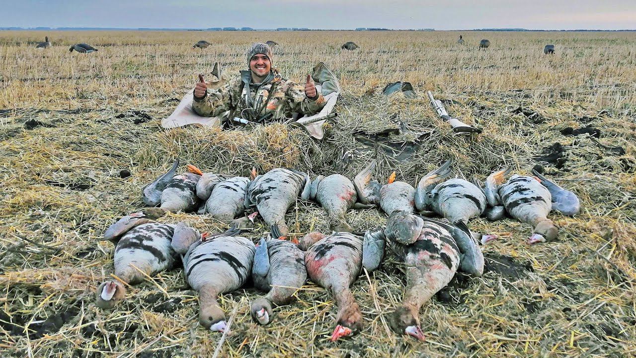 Лучшая охота на гуся в моей жизни | Весна 2022