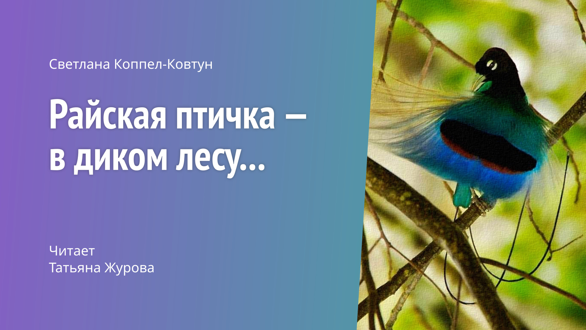 Светлана Коппел-Ковтун. «Райская птичка — в диком лесу...»