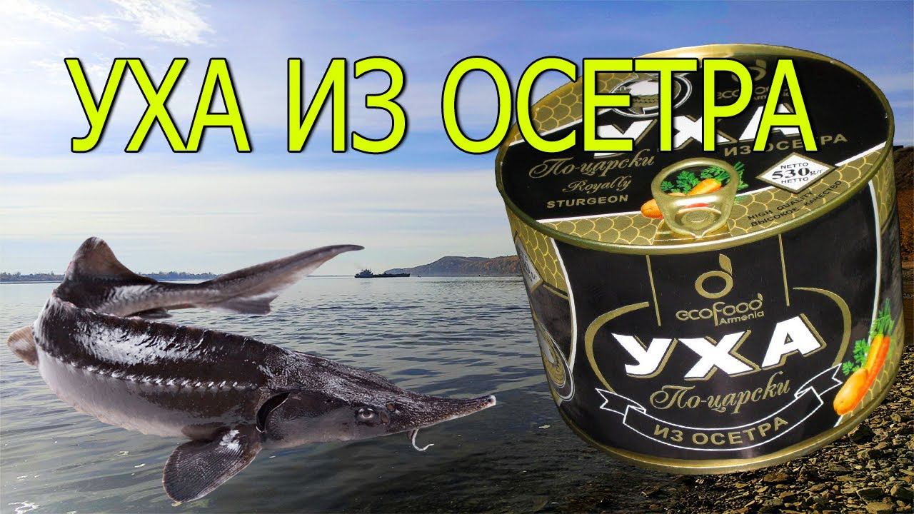 Осетровая уха "По-царски" .