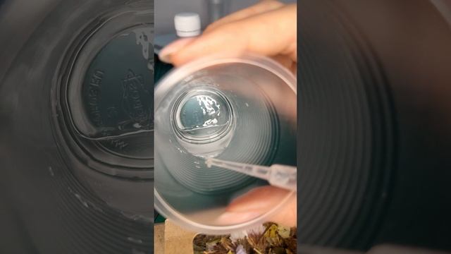 Колечки из эпоксидной смолы с цветами ✿ #эпоксиднаясмола #своимируками #resinart #handmade