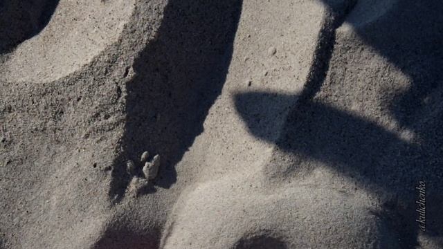 ПЕСОК ТОЖЕ ПОЁТ