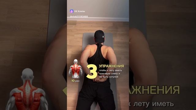 Три упражнения на осанку