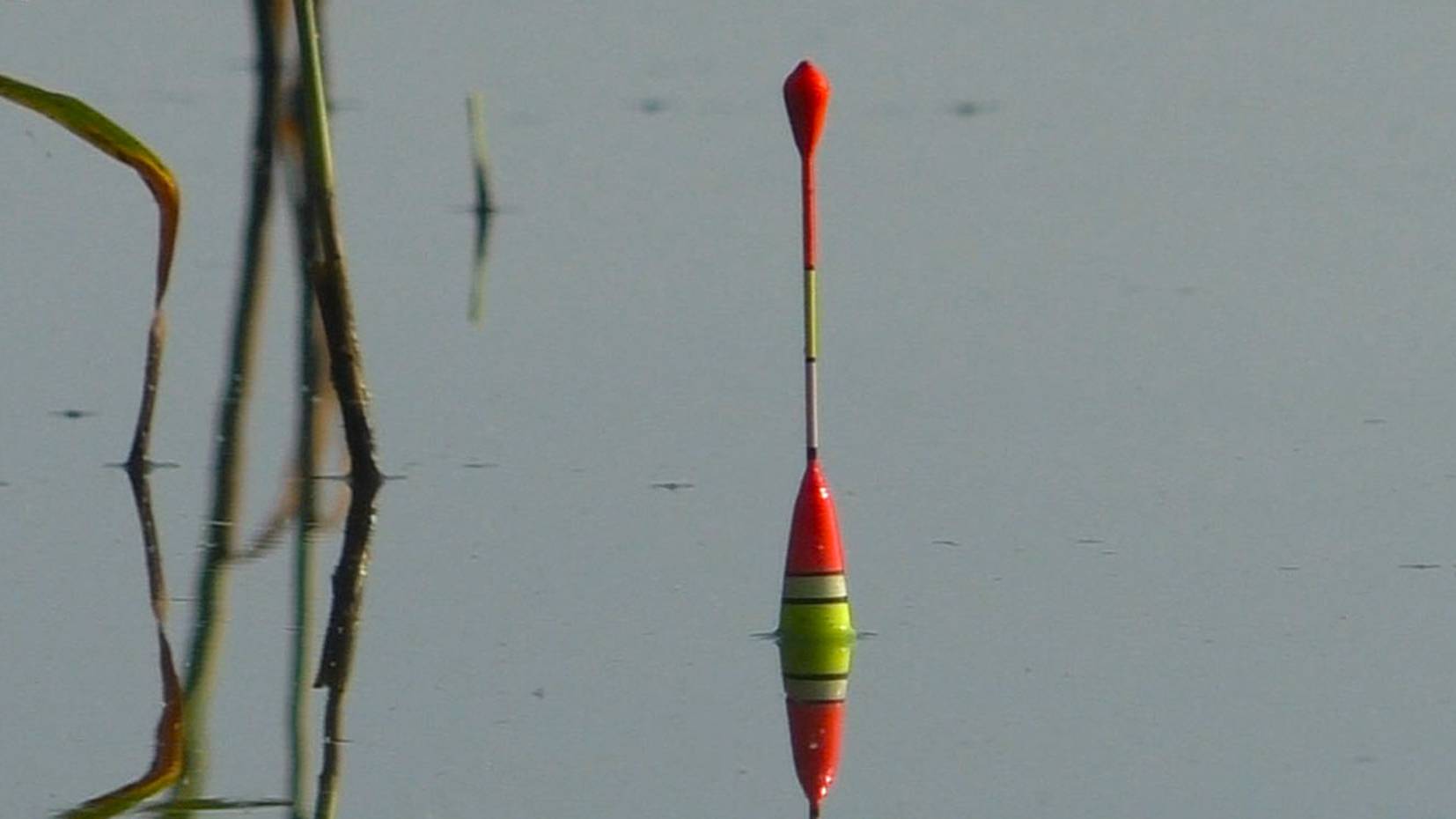 Крупный карась на поплавок. Карась на червя с лодки