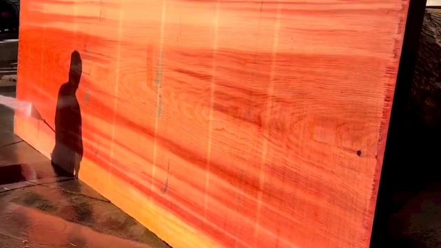 Махагони и Эбеновое дерево. Короли деревьев под угрозой исчезновения.