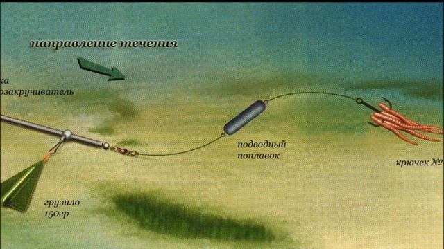 🐠 . СОВЕТЫ КАК ПОЙМАТЬ СОМА