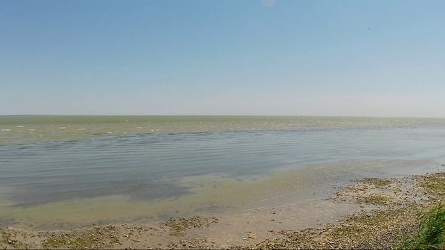 Поездка в Таганрог. Часть 3. Лето. 2022 год.