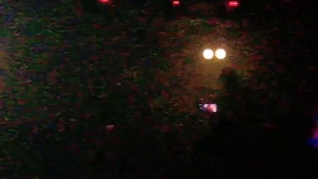 СОБАКИ ТАБАКА-Аэробика