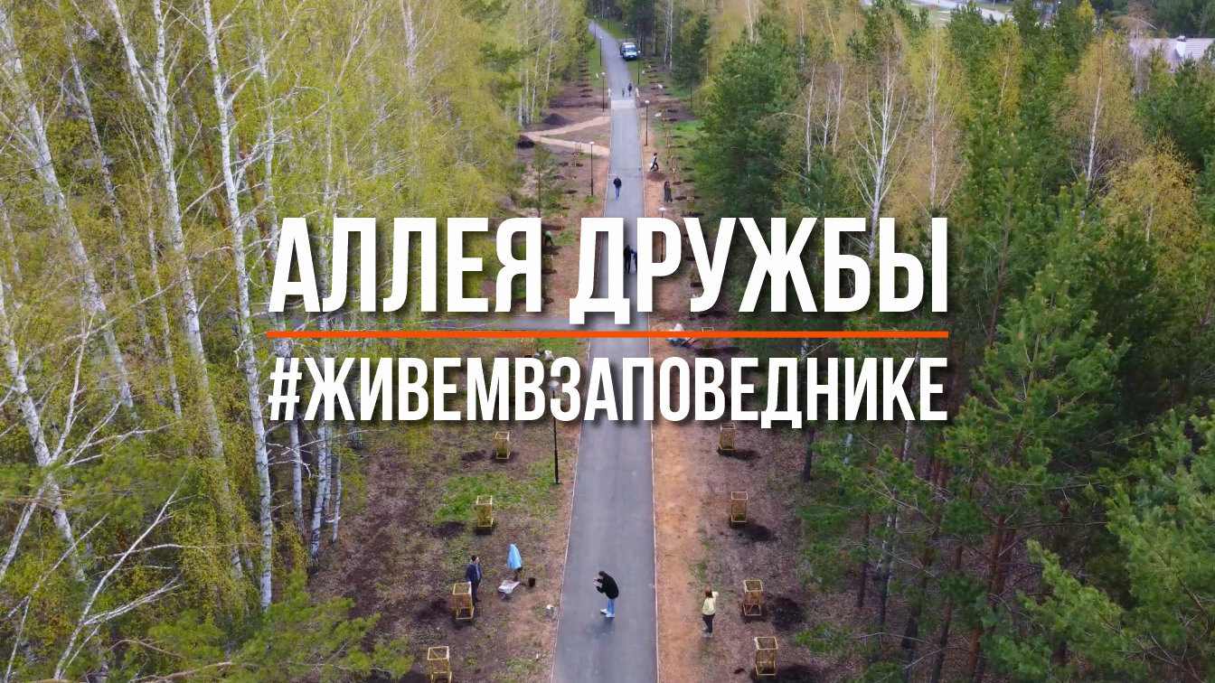 АЛЛЕЯ ДРУЖБЫ в коттеджном поселке «Заповедник»