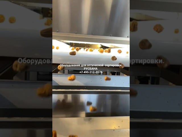 Оптическая сортировка пищевых продуктов: камеры, лазер, рентген