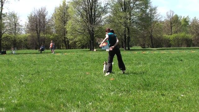 Мария и джек-рассел терьер Вася.mp4