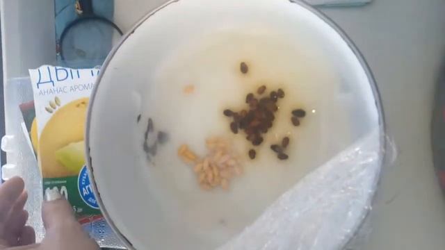 Замачивания семян Арбуза и Дыни перед посадкой .