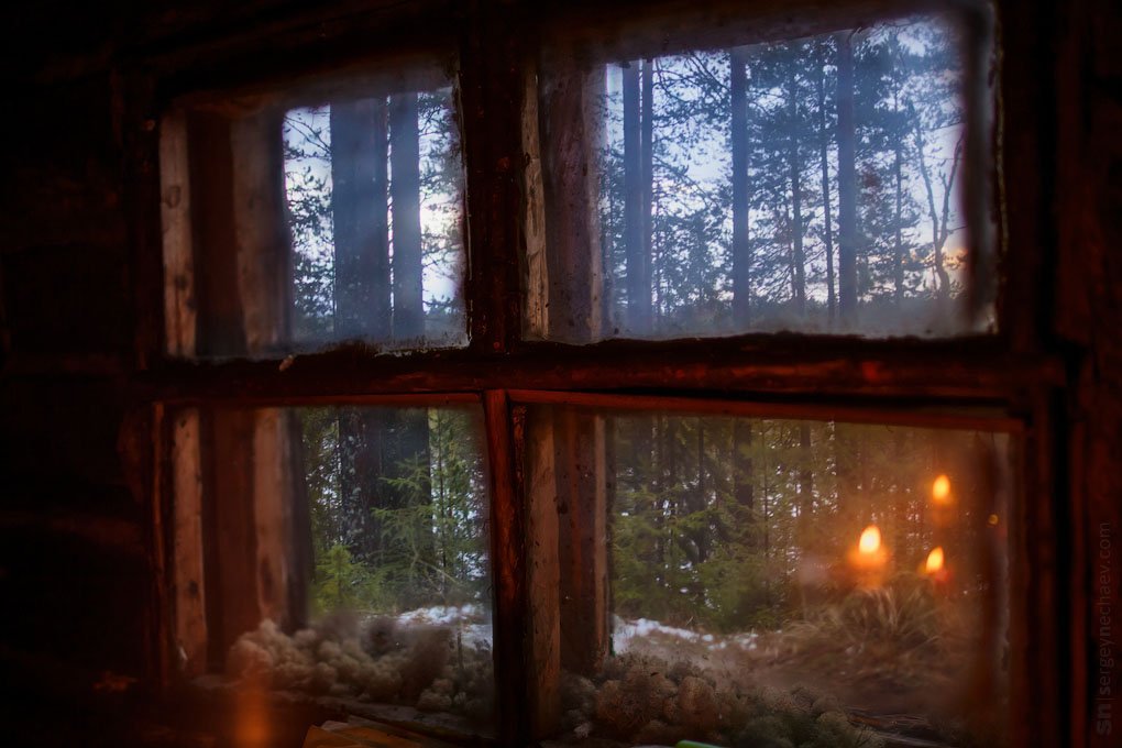 В лесной избе...