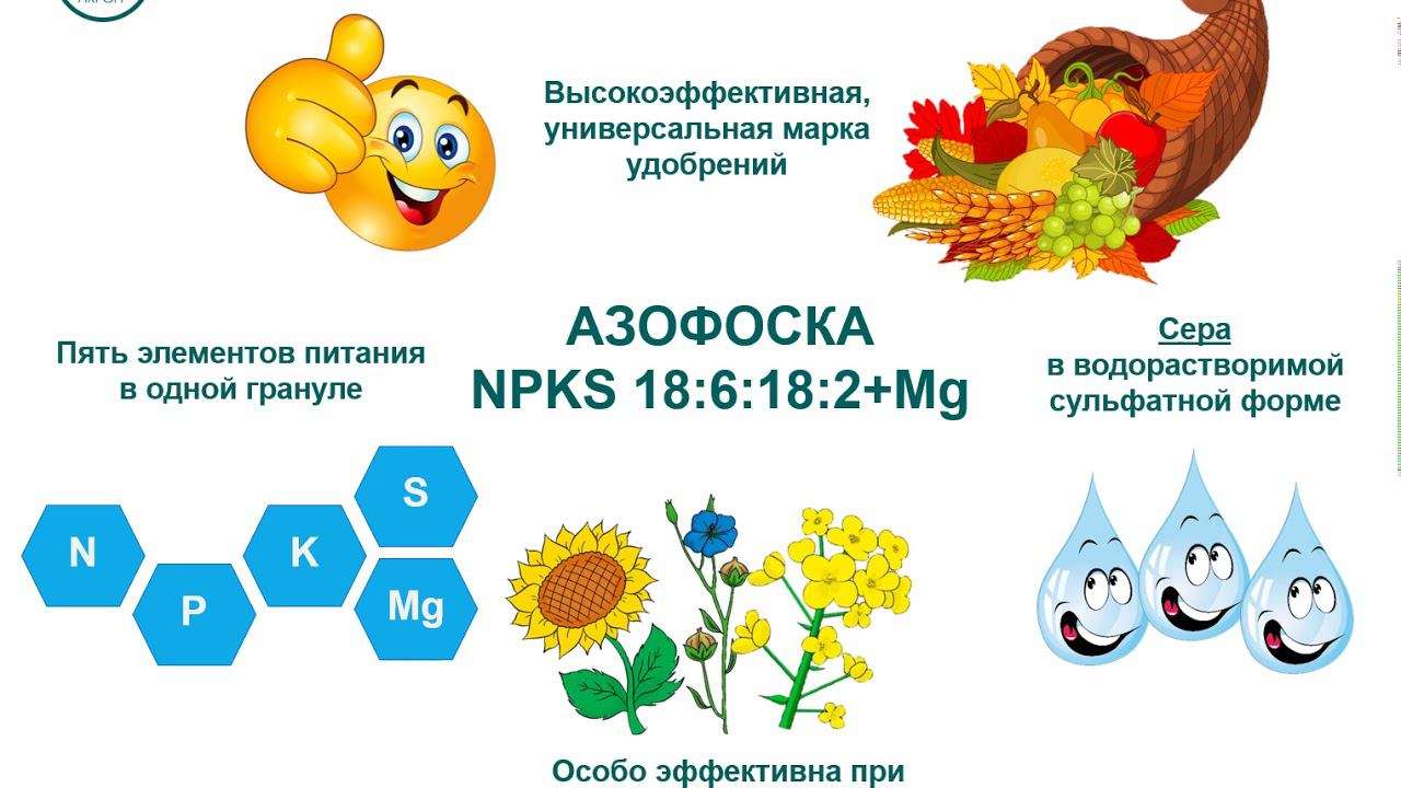 Как получить высокий урожай рапса? NPKS 18:6:18:2+Mg
