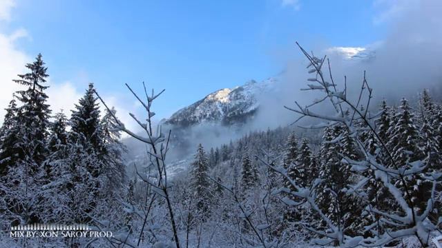 Оманская группа – Вчера, 2024 г. |  Оманская группа – Вчера, 2024 г. |  Мкс от ХанСарой Прод