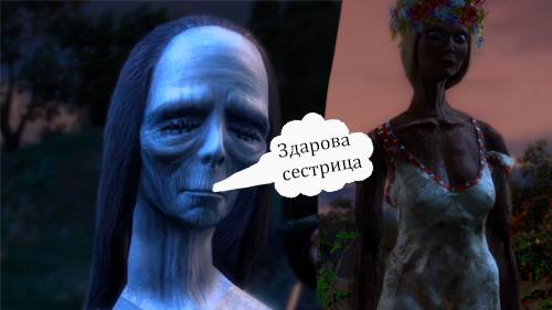 The Witcher 1, полуденница Алина и полуночница Селина встретились, Ведьмак 1