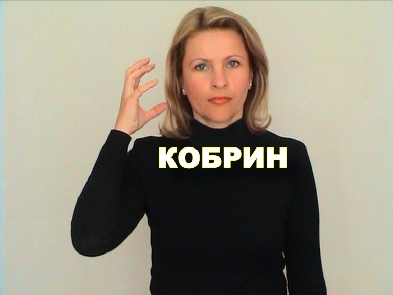 ЖЕСТОВЫЙ ЯЗЫК. СЛОВАРЬ. Кобрин