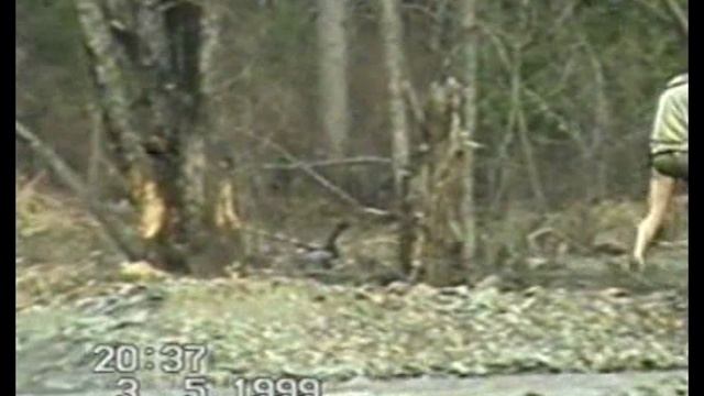 Охота на глухаря и бобра.