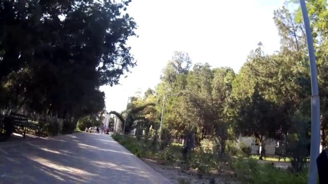 МОЛОДЁЖНЫЙ ПАРК: ВЕРСИЯ 2 (10 МИНУТ)